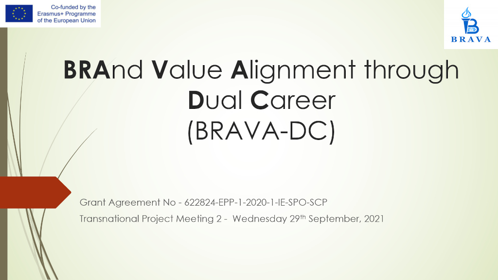 BRAVA partners working on brand values & dual career | EUSA